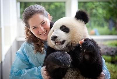 Pandas Hugging People